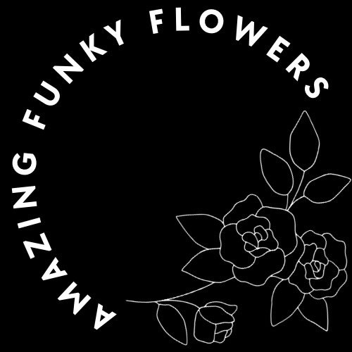 Flowers Dapto | Amazing Funky Flowers